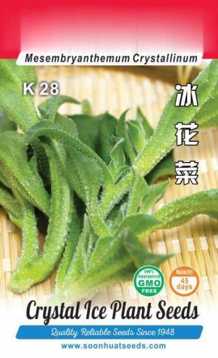 Soon Huat Crystal Ice Plant Seeds K28 Benih Ice Plant Gardening ...