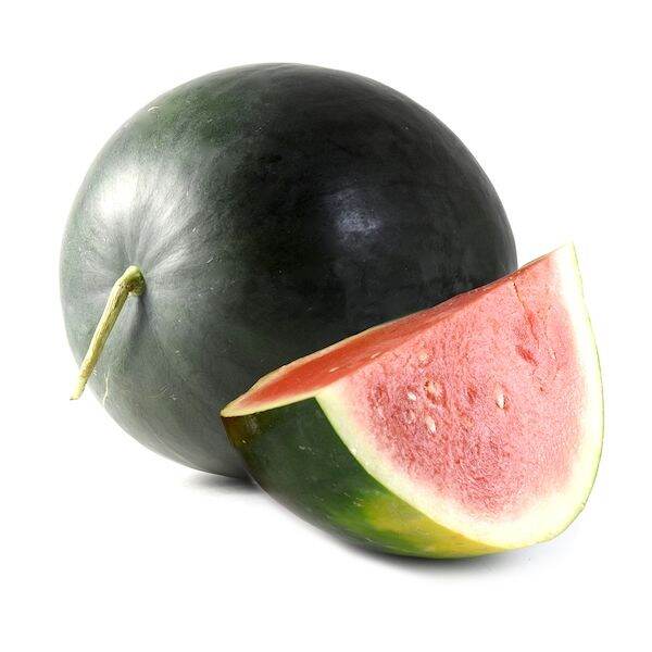 Watermelon 10grams 190-210 pcs Seeds Pakwan Hybrid Sugar Mommy ...