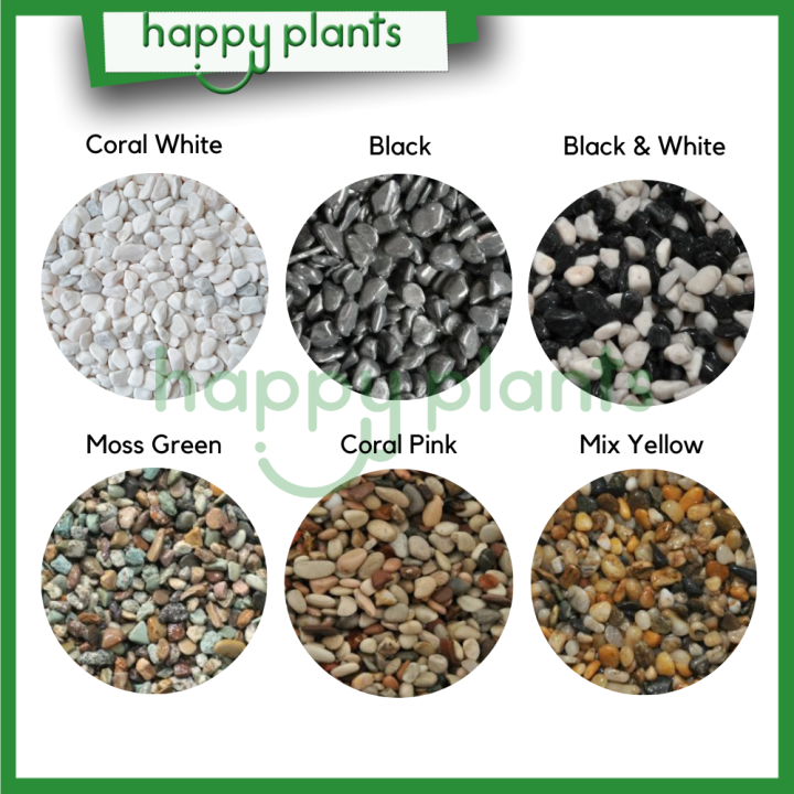 🌱 1kg Batu Hiasan Pebble Wash Chipping Gardening Aquarium Landscape ...
