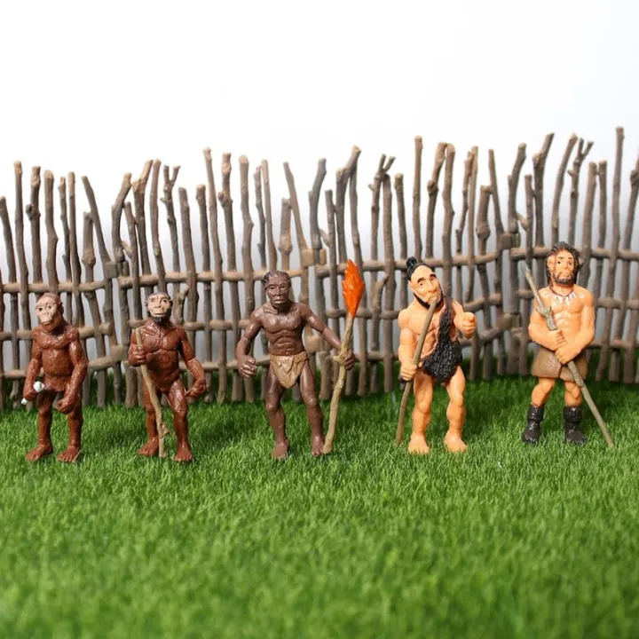 Simulation Human Evolution Of Man Primitive Human Model Figures Toy Collection Teaching ...