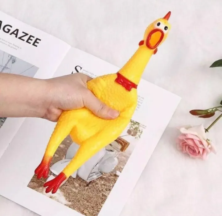 Shrilling Chicken | Lazada PH