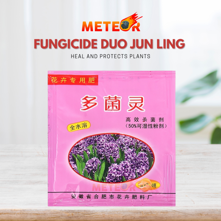 Plants Fungicide Fungisida Tumbuhan Duo Jun Ling 10g多菌灵 | Lazada