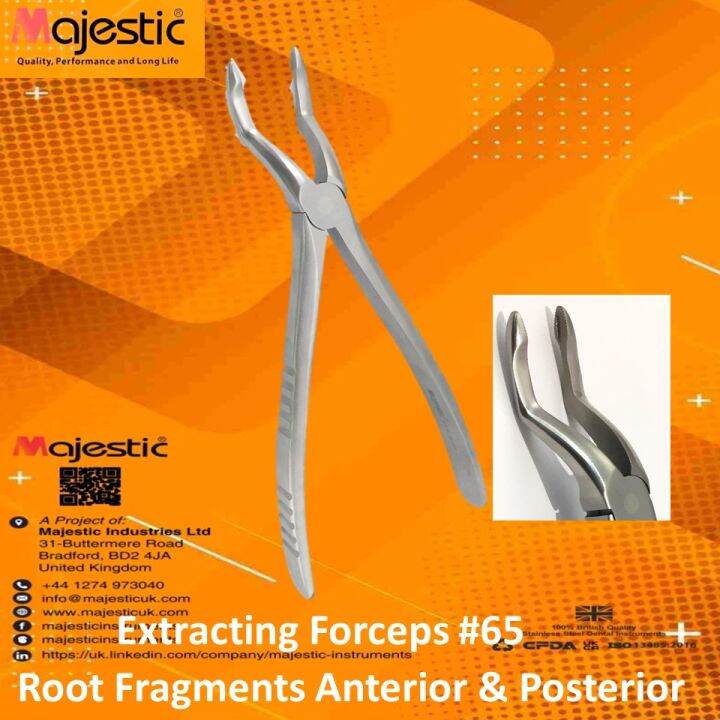 Majestic Extracting Forceps-#65 Upper Incisors and Roots | Lazada PH
