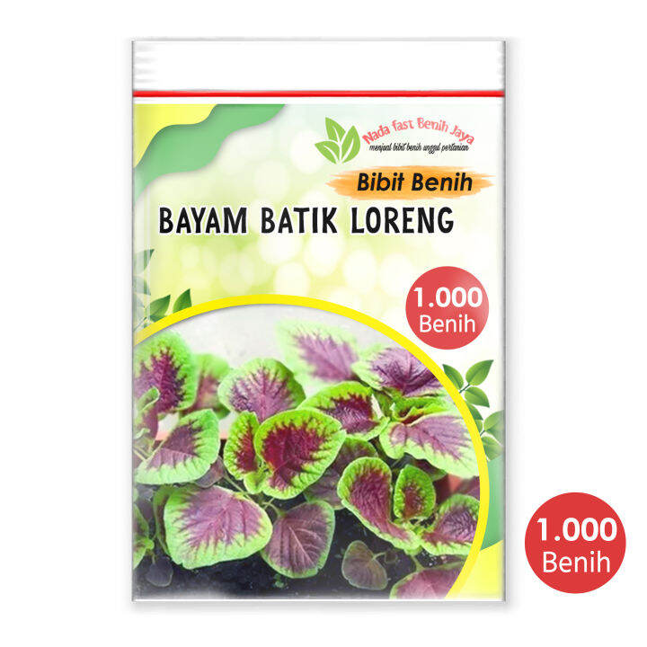 1000 biji Benih bayam belang / bibit bayam batik loreng | Lazada Indonesia