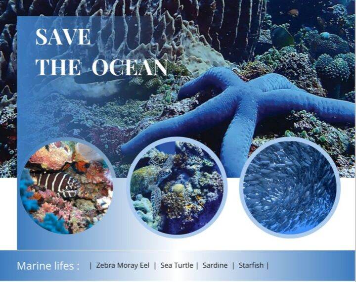 Postcard - Protect The Ocean | Save Marine Life | Lazada