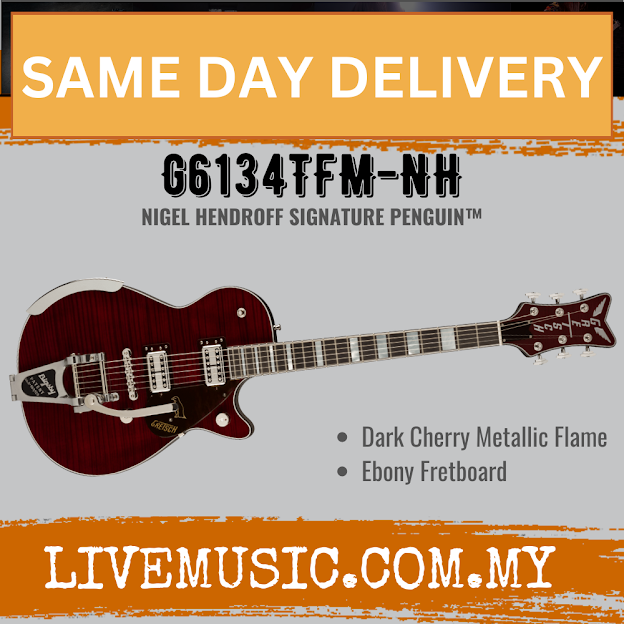 Gretsch G6134TFM-NH Nigel Hendroff Signature Penguin Electric Guitar ...