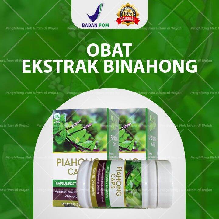 OBAT EKSTRAK BINAHONG KAPSUL PIAHONG Sehat Asam Urat Hipertensi Herbal ...