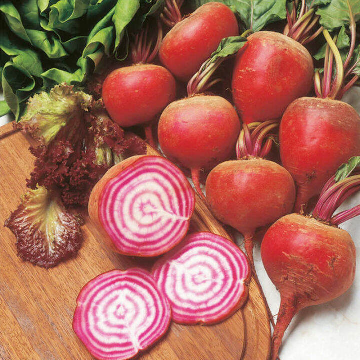 Easy to grow | Beetroot Seeds Philippines buto ng gulay Sugar Beets ...