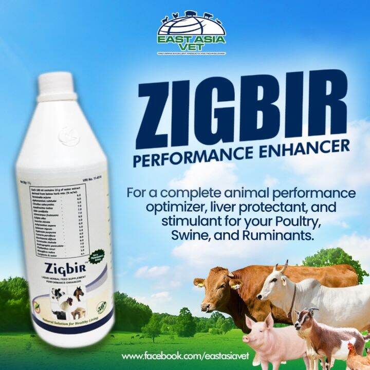 Zigbir Liquid (1 Liter) | Lazada PH
