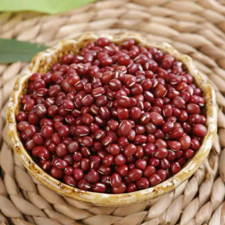 Red Mung Beans/ Monggo Beans 1kilo | Lazada PH