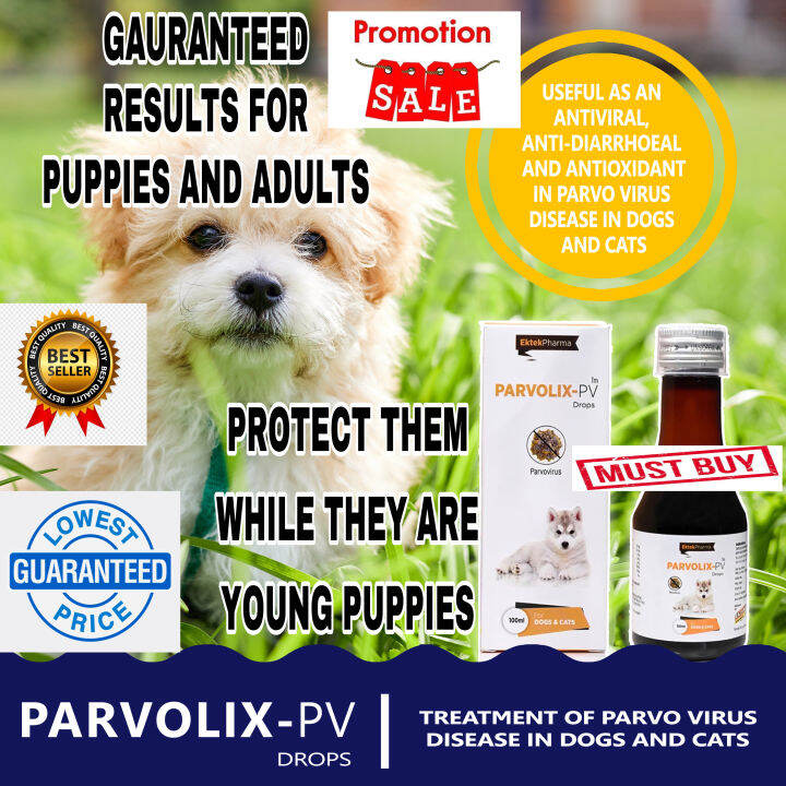Parvolix Pv For Treatment Of Parvo Virus In Dogs And Cats | Lazada PH