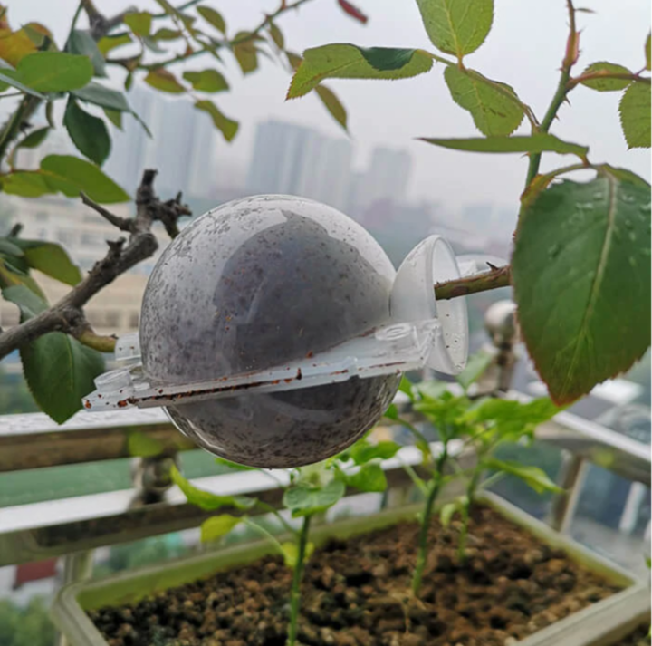 plant rooting ball (transparent) - Small Medium Large - high pressure ...