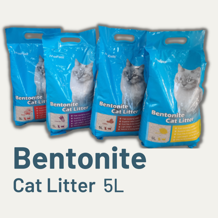Bentonite Cat Litter 5 litters | Lazada PH