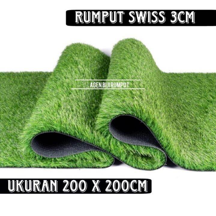 Rumput sintetis swiss 3cm - 200cm x 200cm - rumput sintetis dekorasi ...
