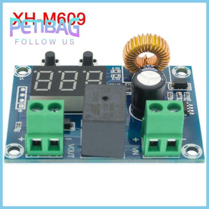 PETIBAG Digital LED Display 12V 24V 36V for 12-36V Lithium Battery DC ...