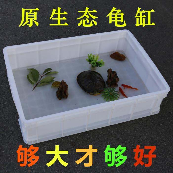 customizable Household turtle tank with drainage plastic turtle box ...