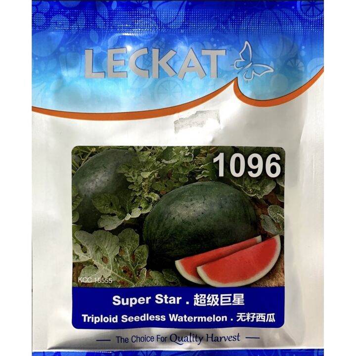Benih Tembikai Merah Super Star 1096 Triploid Seedless Watermelon Leckat - ( 20g / 100g ) 👍 💯 ...