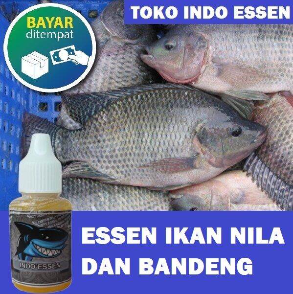 Essen Ikan Nila dan Bandeng Aroma Wangi Pisang Raja Sari Kroto Isi 30ml ...