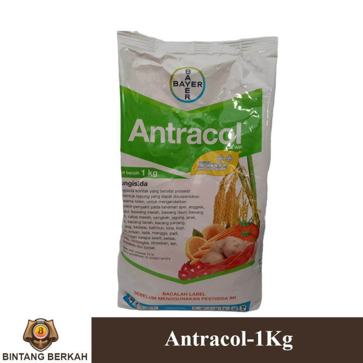 Antracol 1 Kg Fungisida Antraknosa Pertanian | Lazada Indonesia