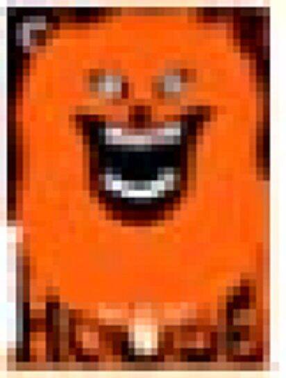 House (The Criterion Collection) | Lazada PH