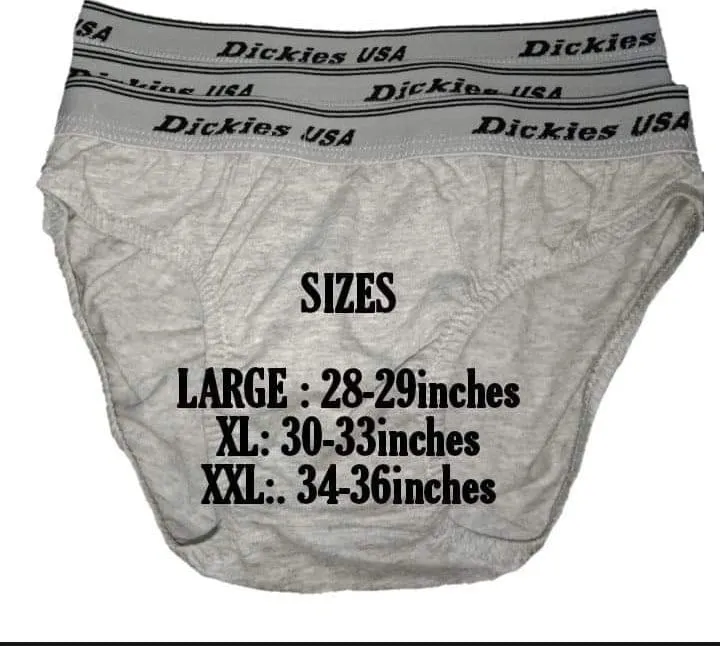 Dickies USA All Gray Cotton Brief for Men 3 in 1 Pack | Lazada PH