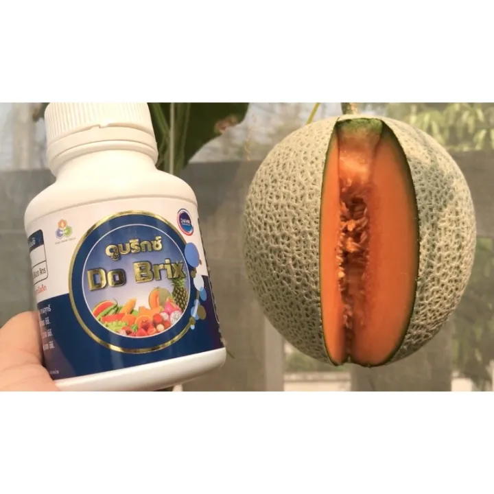 ดูบริกซ์ do brix สารเพิ่มคุณภาพผลผลิต sweet pot | Lazada.co.th