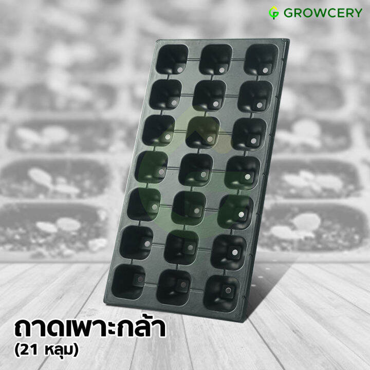 [G.] ถาดเพาะกล้า ถาดหลุม ถาดเพาะเมล็ด ถาดเพาะ จำนวน 21 หลุม (หนา 0.6 มม.) **สั่งขั้นต่ำ 2 ชิ้น ...