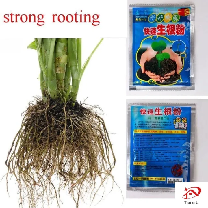 TwoL 1PC Fast Rooting Powder Hormone Growing Root Seedling Clone Plant ...