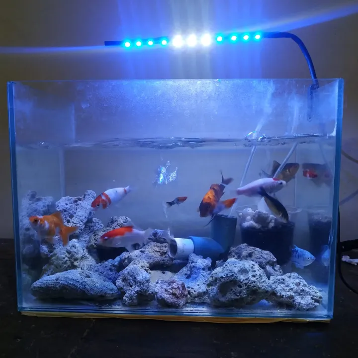 Lampu aquarium aquascape 20cm 11 mata LED smd biru putih lampu ikan ...