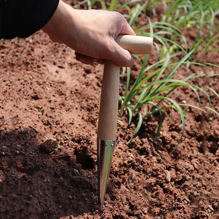 LAZYER โครเมี่ยมเคลือบแข็งแรงปลูก D Affodil ที่มีด้ามไม้สำหรับดอกทิวลิป ...