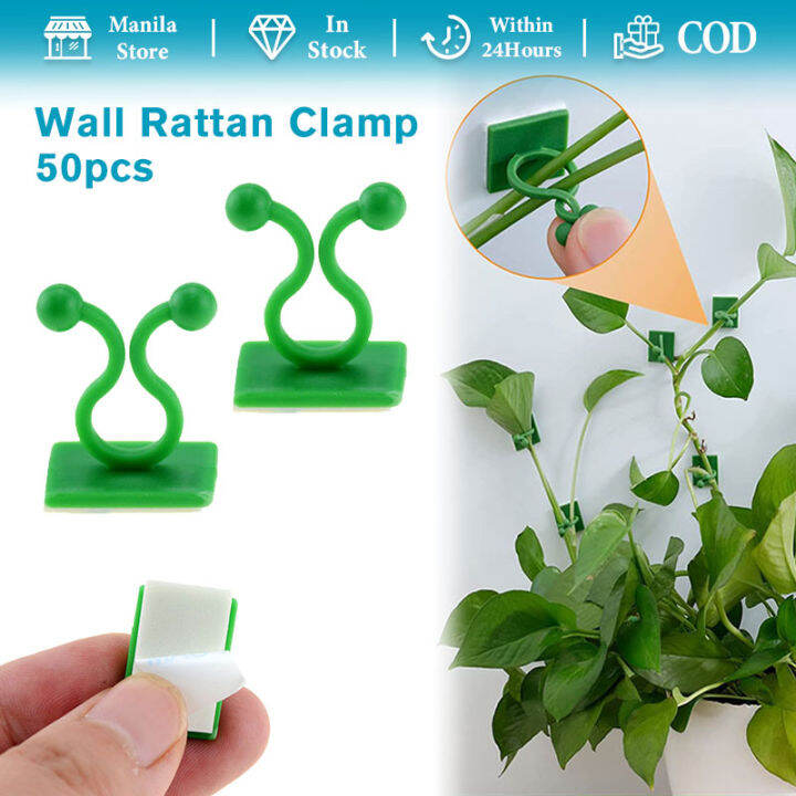 50pcs Plant Clips Self-Adhesive Invisible Wall Vines Fixture Supports ...