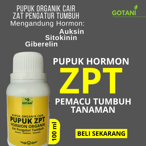 Pupuk ZPT Pertumbuhan Pemacu Tumbuh Tanaman / Pupuk Hormon Perangsang ...