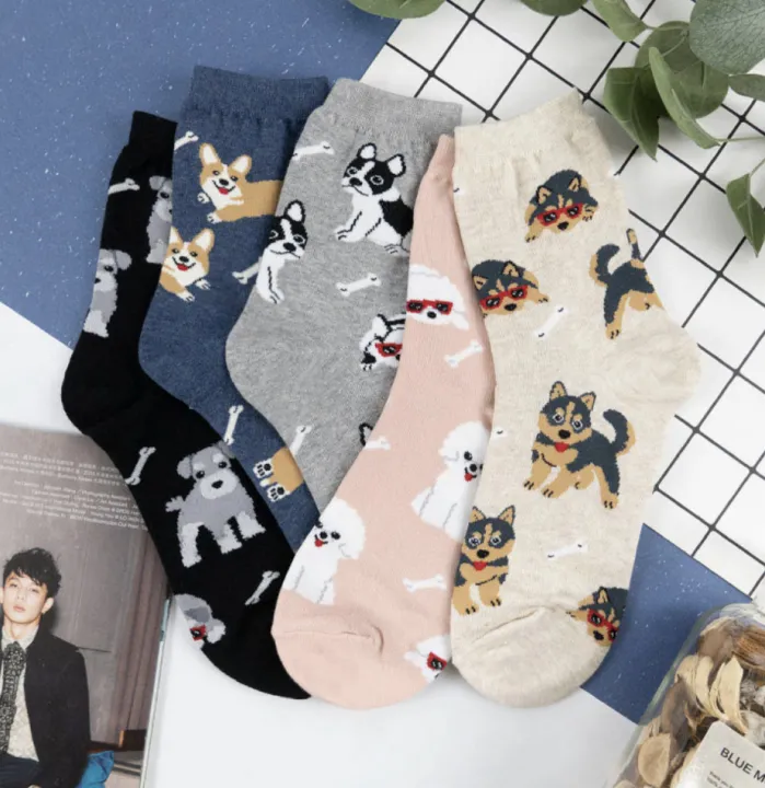 Korean Socks - Dog Scattered Socks - Iconic Socks | Lazada PH