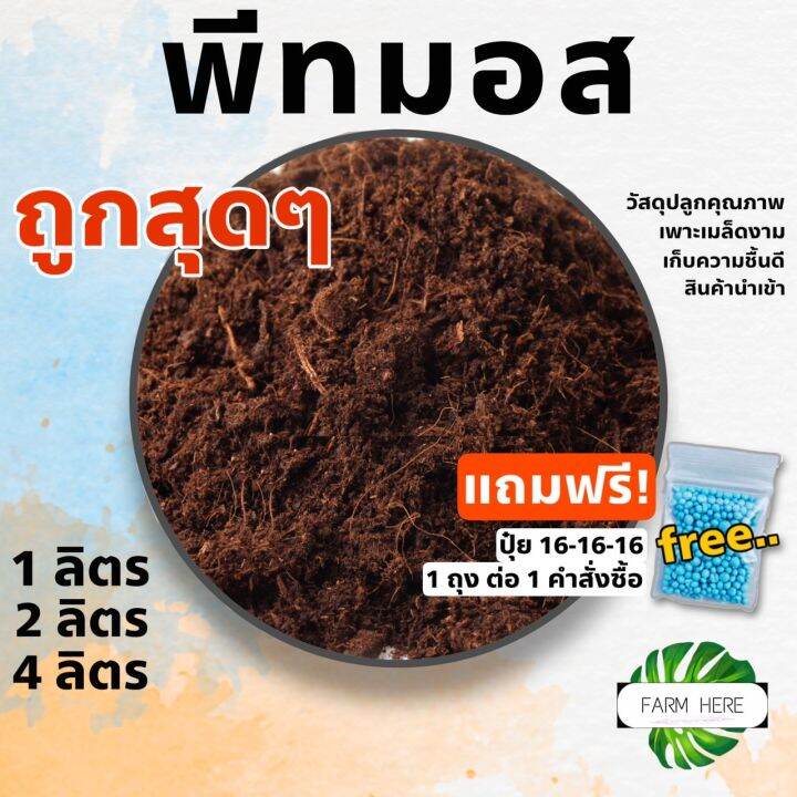 "มีของแถม" พีทมอส คลาสแมน Potgrond H วัสดุเพาะกล้ายอดนิยม ต้นไม้โตไว ...