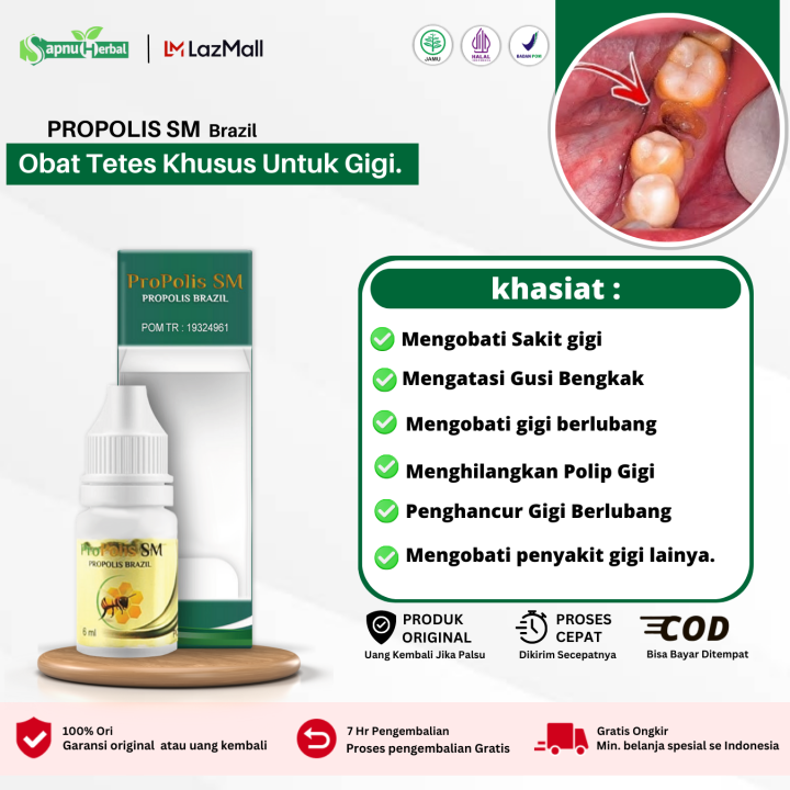 Obat Tetes Sakit Gigi, Gusi Bengkak, Ngilu, Sakit Abses Gigi ...