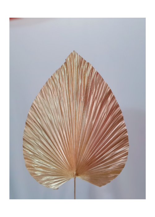 daun palem emas/ daun palem gold/ daun gold/daun kipas gold/ daun kipas ...