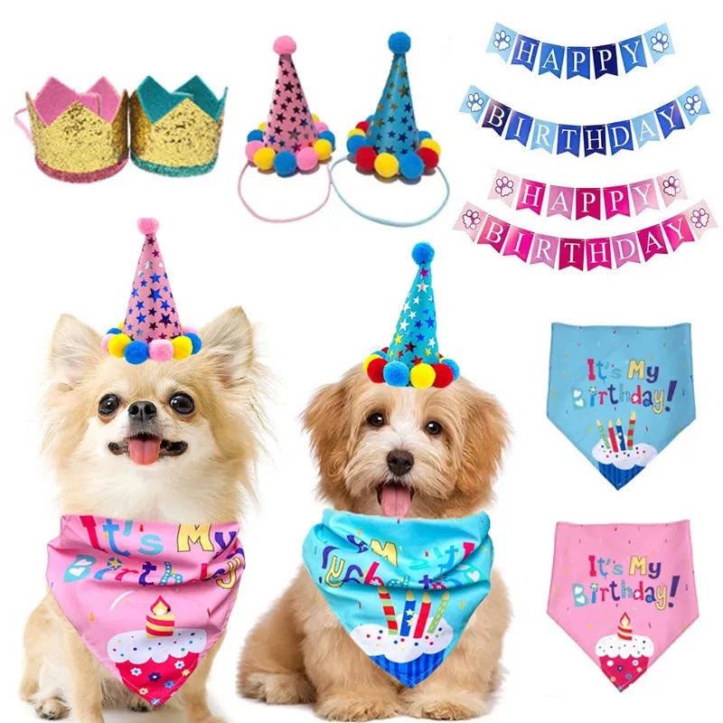 Cat And Dog Birthday Party