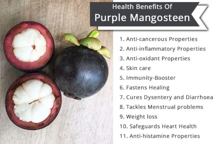BUY 1 TAKE 1 Mangosteen Powder 100 grams 100% Pure and Organic ...