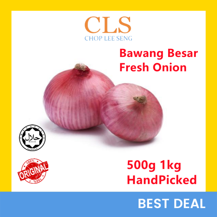 CLS Bawang Merah Bawang Besar India Segar Fresh Hand Picked Red Onion ...