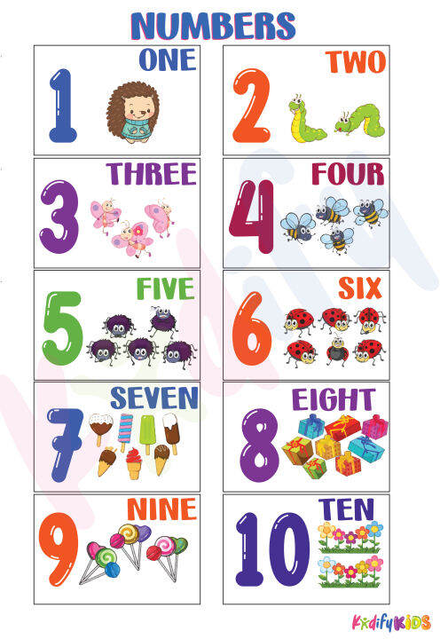 Educational Learning Materials and Charts For Kids -Laminated in A4 ...