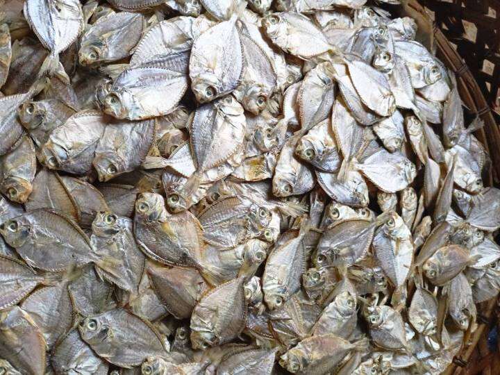 SAPSAP DRIED FISH TUYO 1/2 KILO | Lazada PH