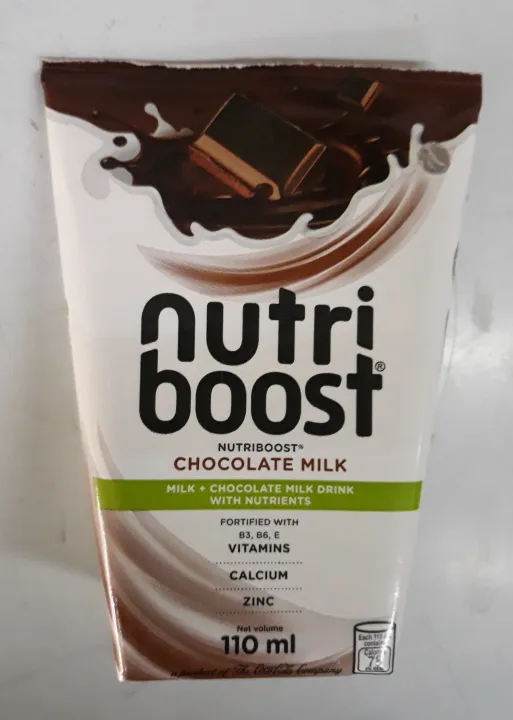 Nutri Boost Chocolate Milk 110mL | Lazada PH