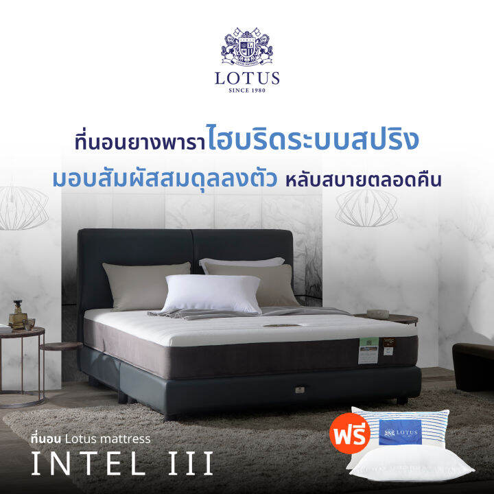 LOTUS ที่นอนยางพาราลดอาการปวดหลังนำเข้าจากประเทศเบลเยี่ยม รุ่น Intel ...