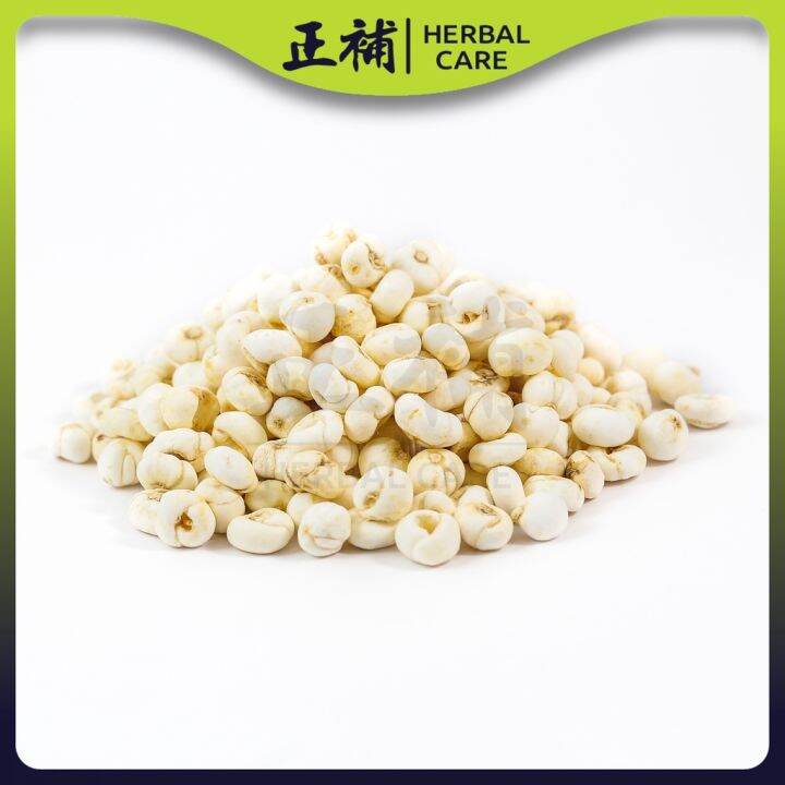 Herbal Care Chuan Bei | 川贝母 | Fritillaria Cirrhosa 川贝 | Lazada