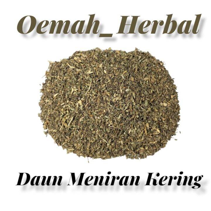 Daun meniran kering 1kg meniran keringtermurah | Lazada Indonesia