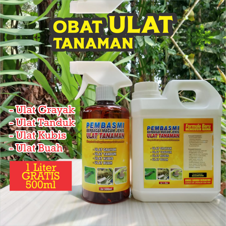 OBAT HAMA TANAMAN ULAT | membasmi semua jenis ulat tanaman ukuran 1 ...
