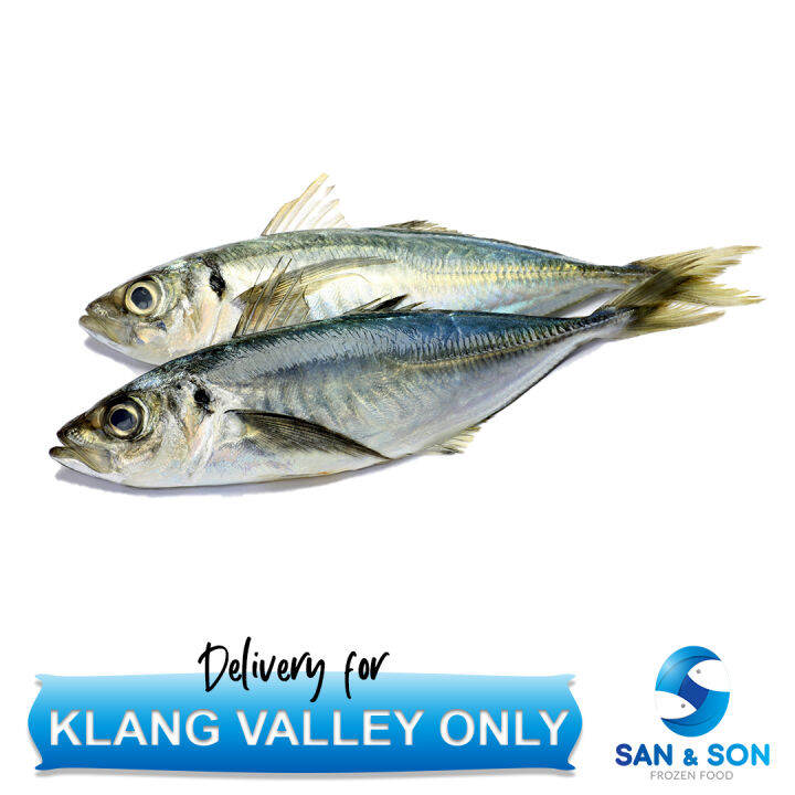 Frozen Ikan Kembung 1kg± per packet (Indian Mackerel Fish) San and Son ...
