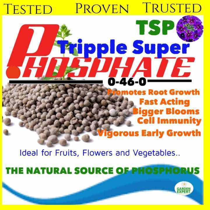 TSP Triple Super Phosphate Granulate Fertilizer 250g/500g/1kg P2O5 Baja ...