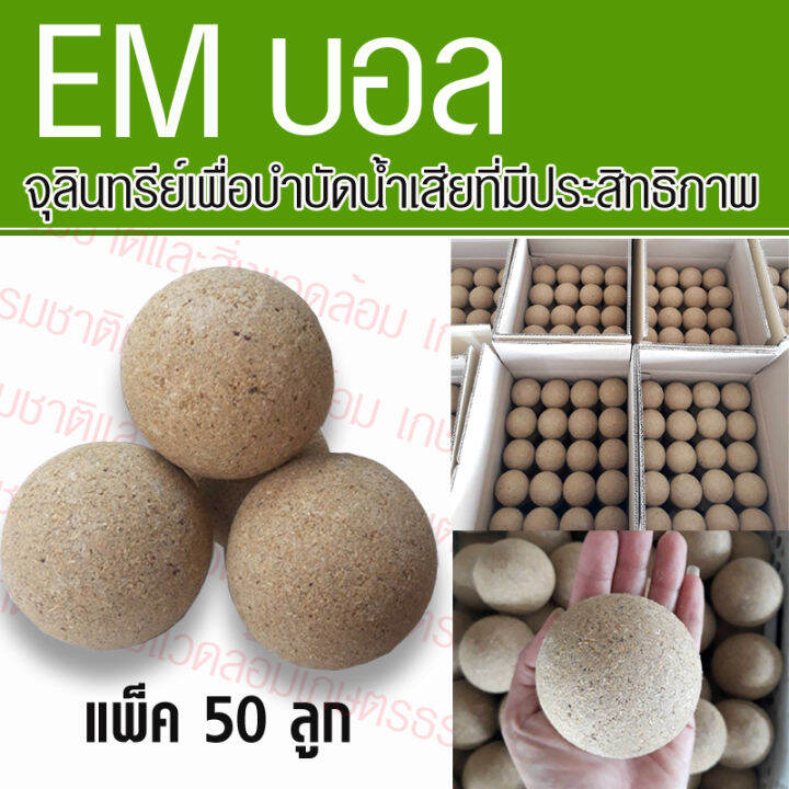 EM Ball อีเอ็มบอล จุลินทรีย์เพื่อบำบัดน้ำเสียที่มีประสิทธิภาพ แพ็ค 50 ...