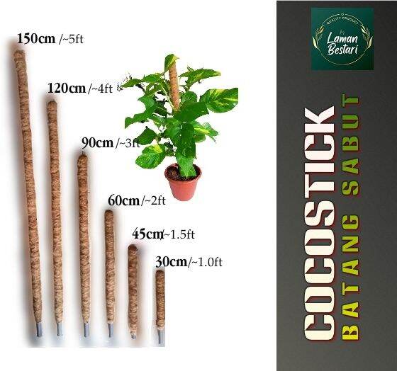 Ready Stock !!! CocoStick. Coco Stick for Climbing Plant . Coco Fiber ...